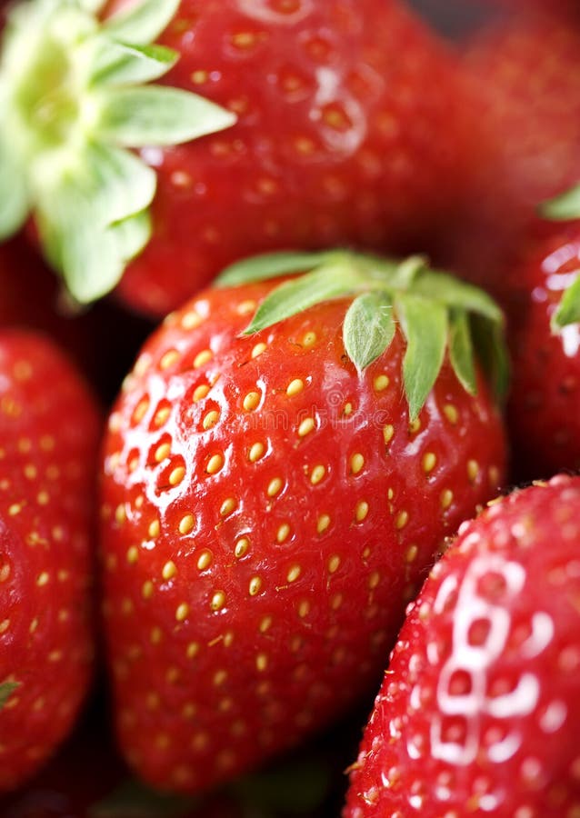 Strawberrys stock photo. Image of closeup, fruit, ripe - 5269864