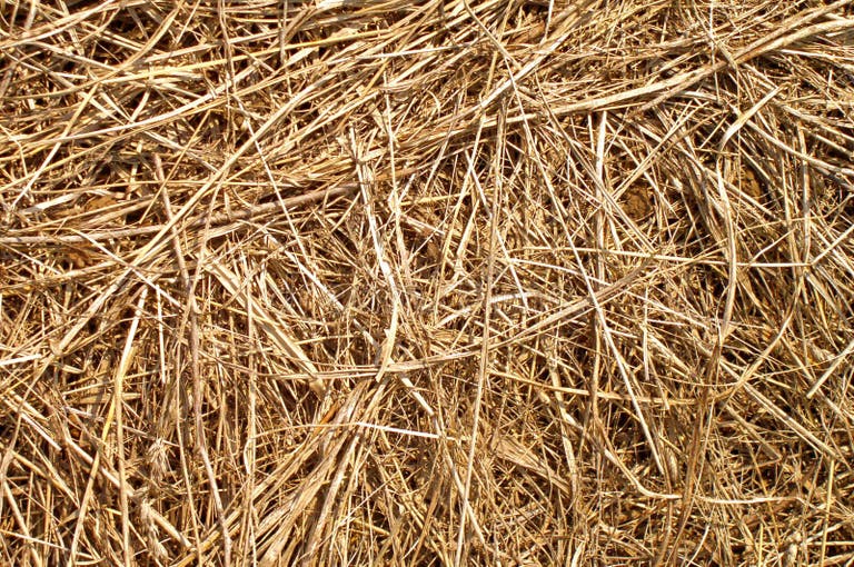 13,693 Sharp Detailed Texture Stock Photos - Free & Royalty-Free Stock ...