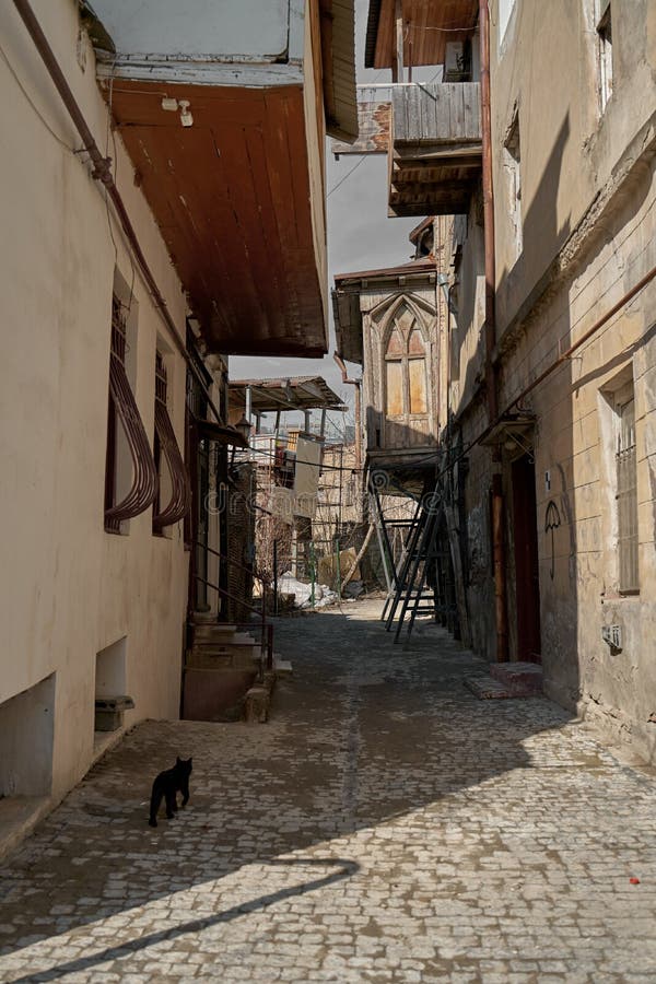 A Stray Black Cat Walks in the Alley Stock Image - Image of lonely ...