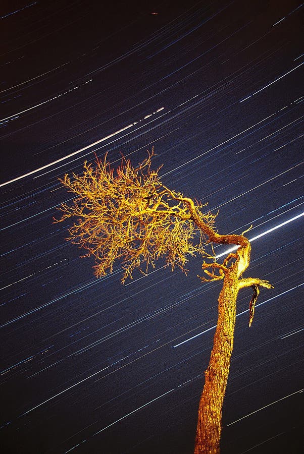 Streaking Stars in Night Sky Stock Image - Image of heavens, celestial ...
