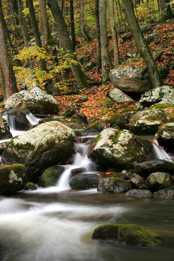 Beautiful Stream stock photo. Image of landscape, outdoor - 6873378