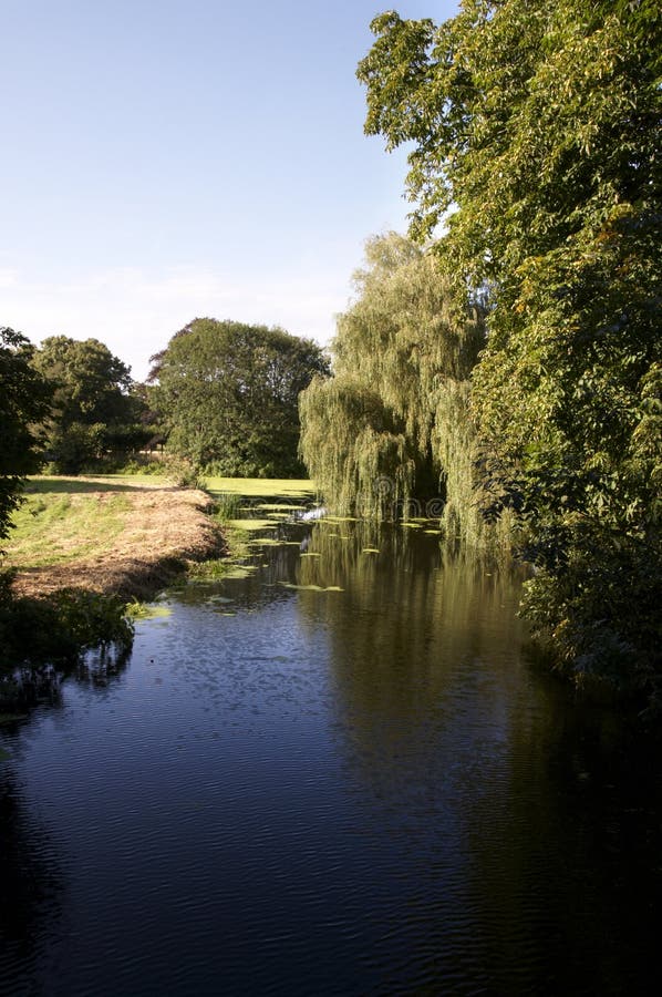 Stream stock photo. Image of pond, rural, scene, outdoors - 12394850