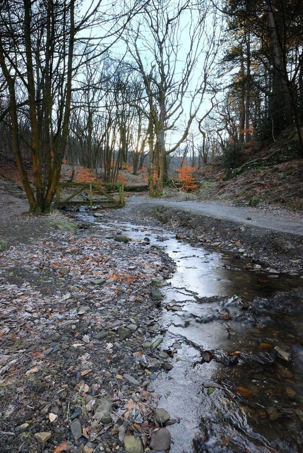 A Stream stock image. Image of stream, tiny, winter, wooden - 18139791
