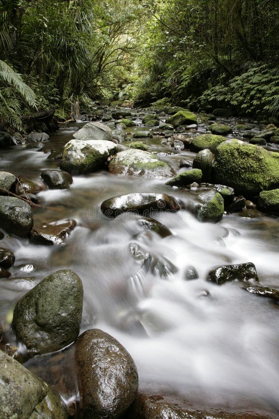 Stream stock photo. Image of stream, outdoors, outside - 22742434