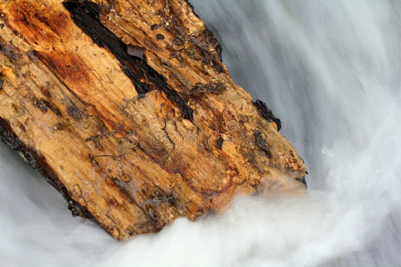 Stream stock image. Image of nature, wood, water, stream - 28347113
