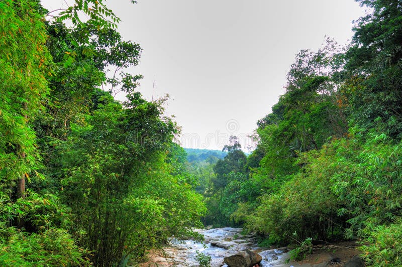 Stream stock photo. Image of stream, scene, natural, view - 4301812