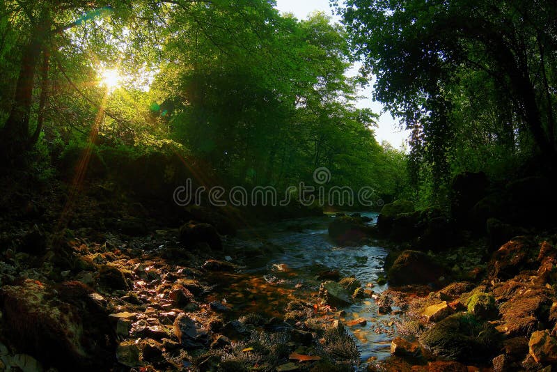 Stream stock image. Image of blue, rock, leaves, brown - 4914923