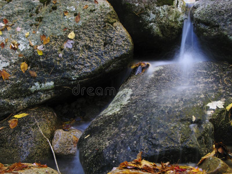 Stream stock image. Image of scene, environment, lush - 6691919