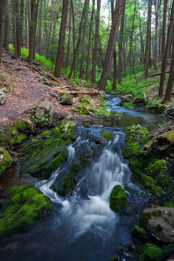 Stream Along the Trail stock photo. Image of stokes - 380427606