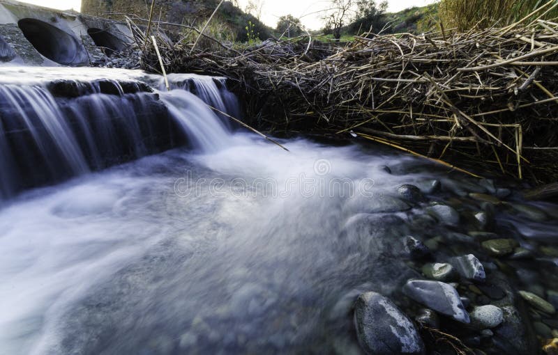 Stream through Artificial Ducts Stock Image - Image of bush, nature ...