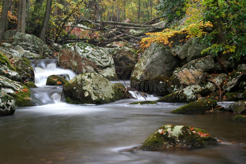 Stream during Autumn stock image. Image of drop, nature - 11394275