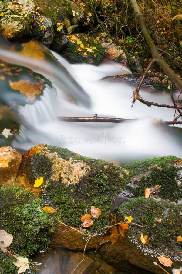 Stream in autumn stock photo. Image of landscape, green - 16555446