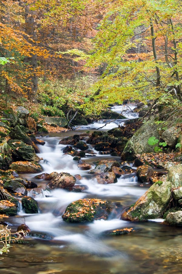 Stream in autumn stock photo. Image of october, fall - 16555502