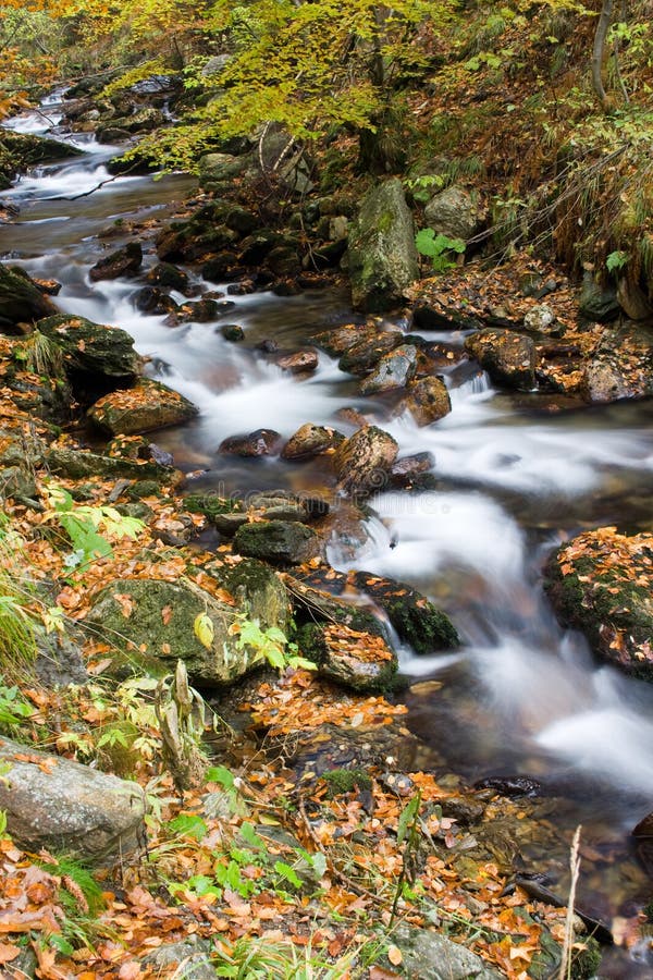 Stream in autumn stock image. Image of outdoor, moving - 16555551