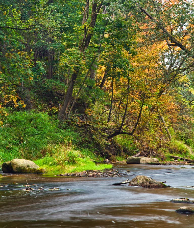 Stream in autumn stock photo. Image of scene, fall, blur - 21369978