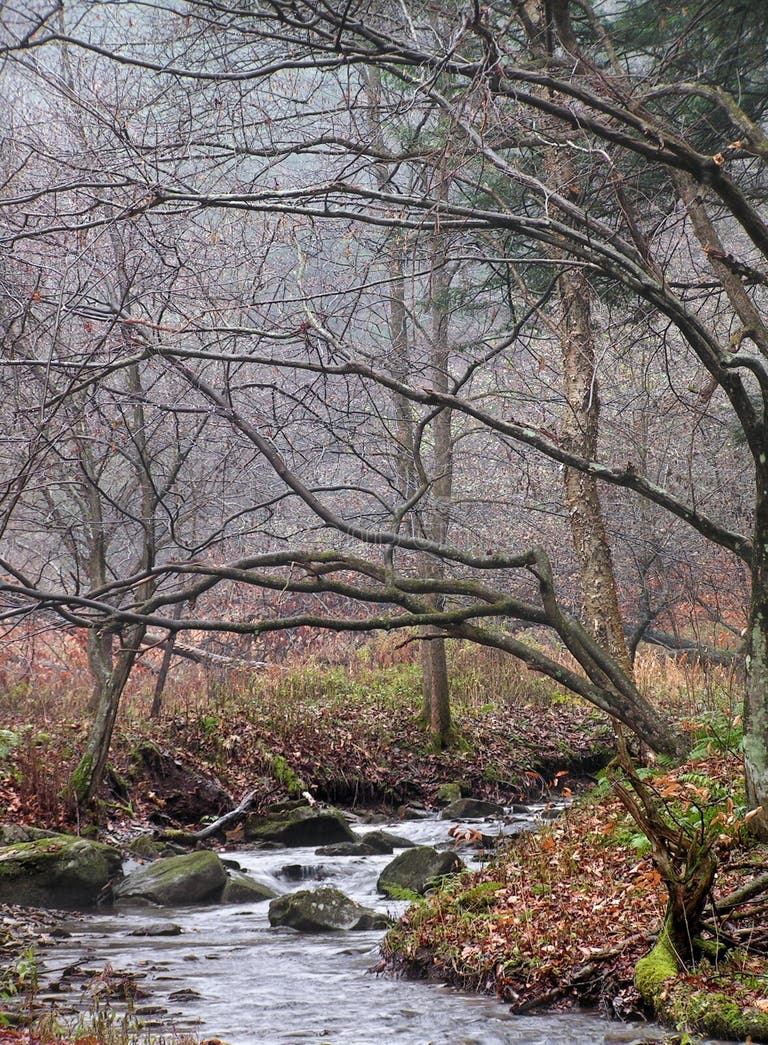 3,022 Overhanging Trees Stock Photos - Free & Royalty-Free Stock Photos ...