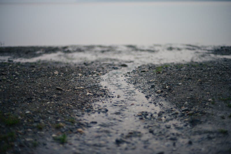 Stream on the beach stock photo. Image of flows, river - 136820566