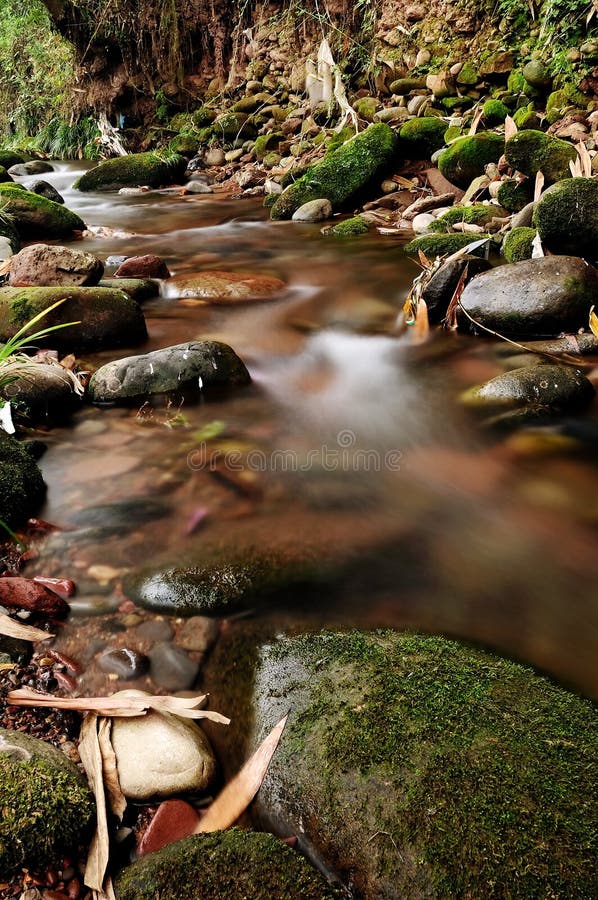 The stream stock image. Image of stream, moss, harmonious - 30782841