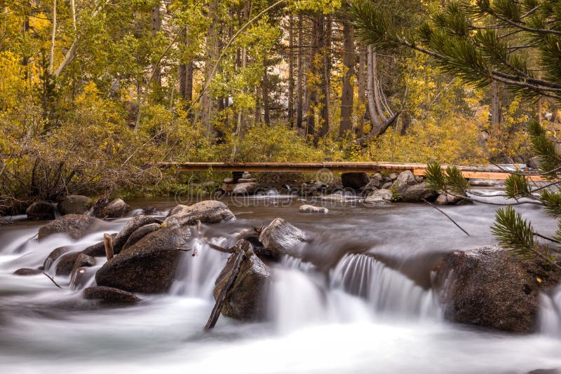 Stream in Bishop California Stock Photo - Image of color, plant: 111320922