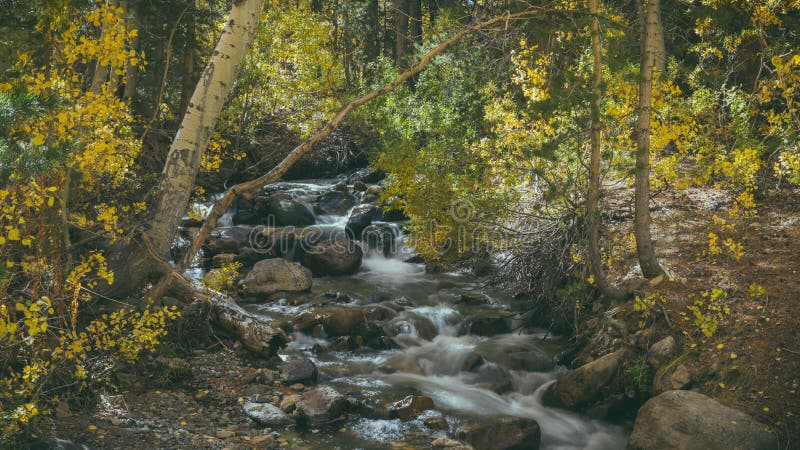 Stream in Bishop California Stock Image - Image of creek, color: 111367567