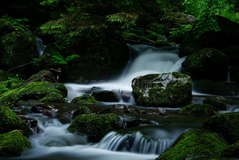 Stream in the Black Forest. Idyllic Silence. Atmosphere in the Forest ...