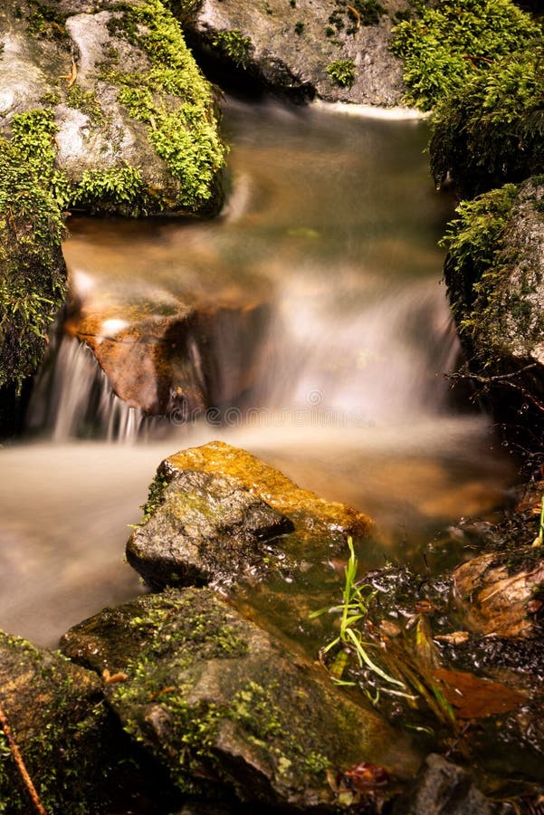 Stream in the Black Forest. Idyllic Silence. Atmosphere in the Forest ...