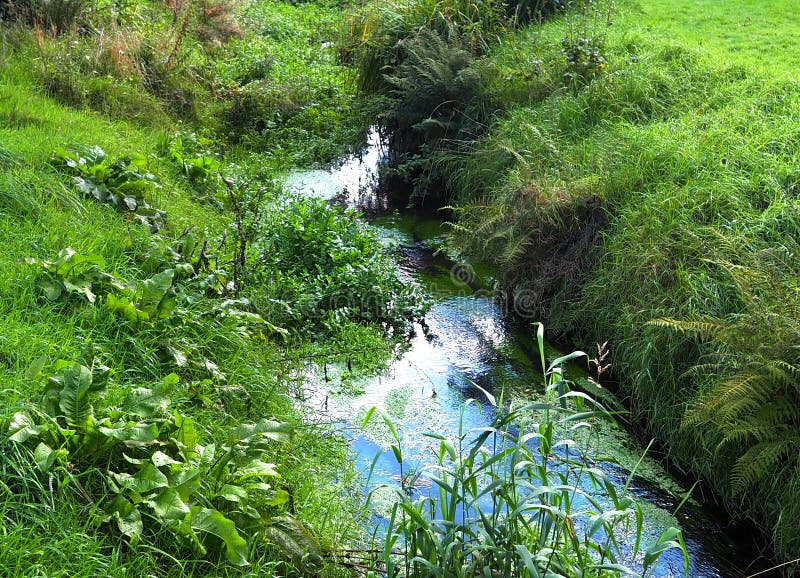 Stream at Blarney Castle Grounds Ireland Stock Image - Image of ...