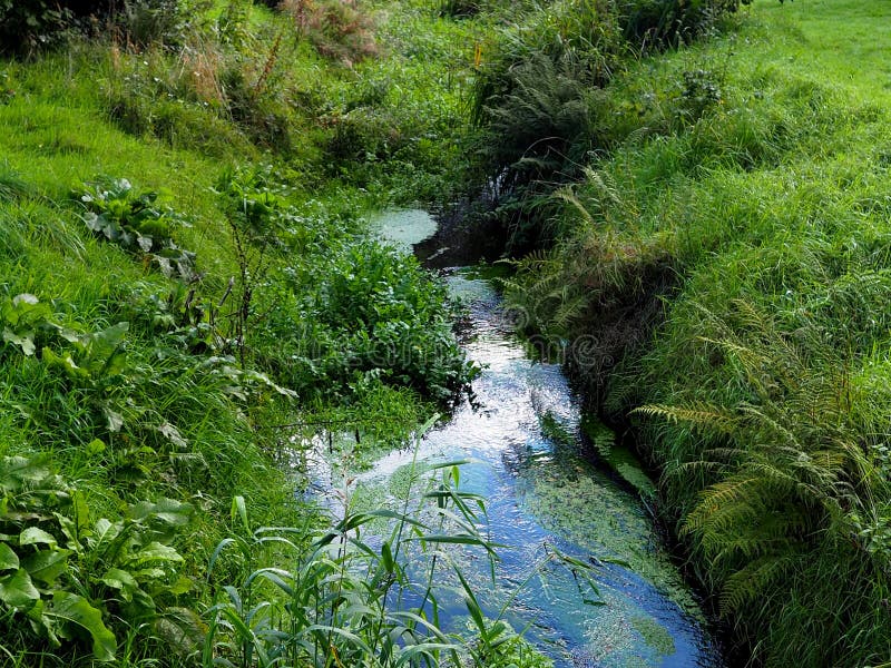 Stream at Blarney Castle Grounds Ireland Stock Photo - Image of stream ...
