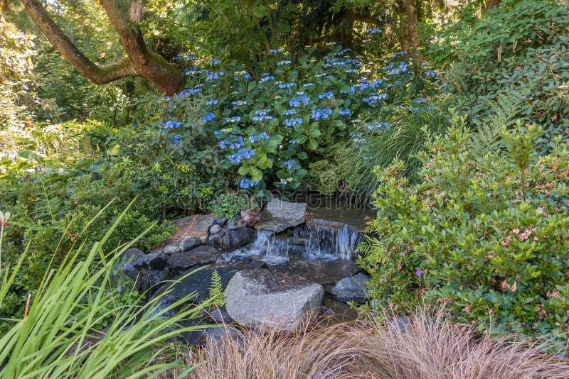 Stream with Blue Flowers stock photo. Image of blue, scenic - 56214356