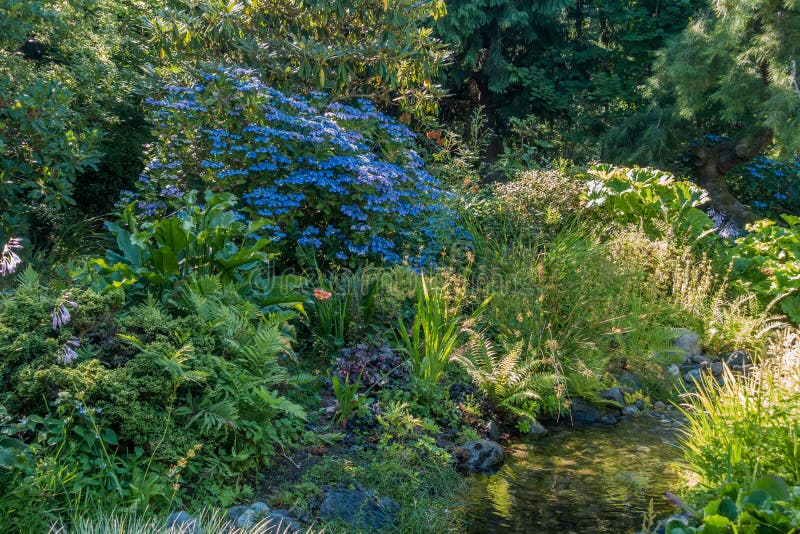 Stream with Blue Flowers stock photo. Image of scenic - 56214360