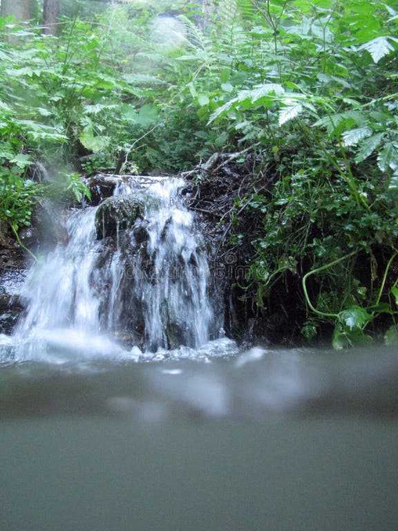 Stream of a Brook or a Creek Stock Image - Image of water, lifeline ...