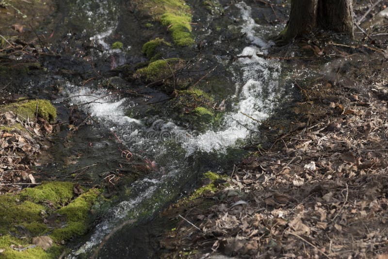 Stream of a Brook or a Creek Stock Image - Image of supply, liquid ...
