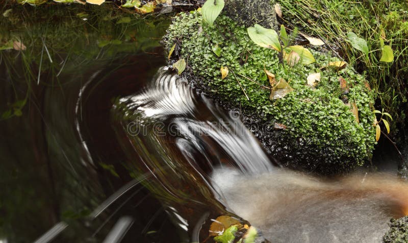 Stream, Cascade Water Long Exposure Stock Photo - Image of scenery ...
