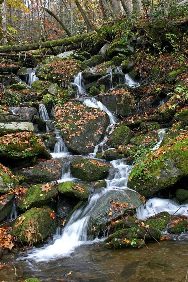 Fall Cascade stock photo. Image of river, cascade, leaves - 105080718
