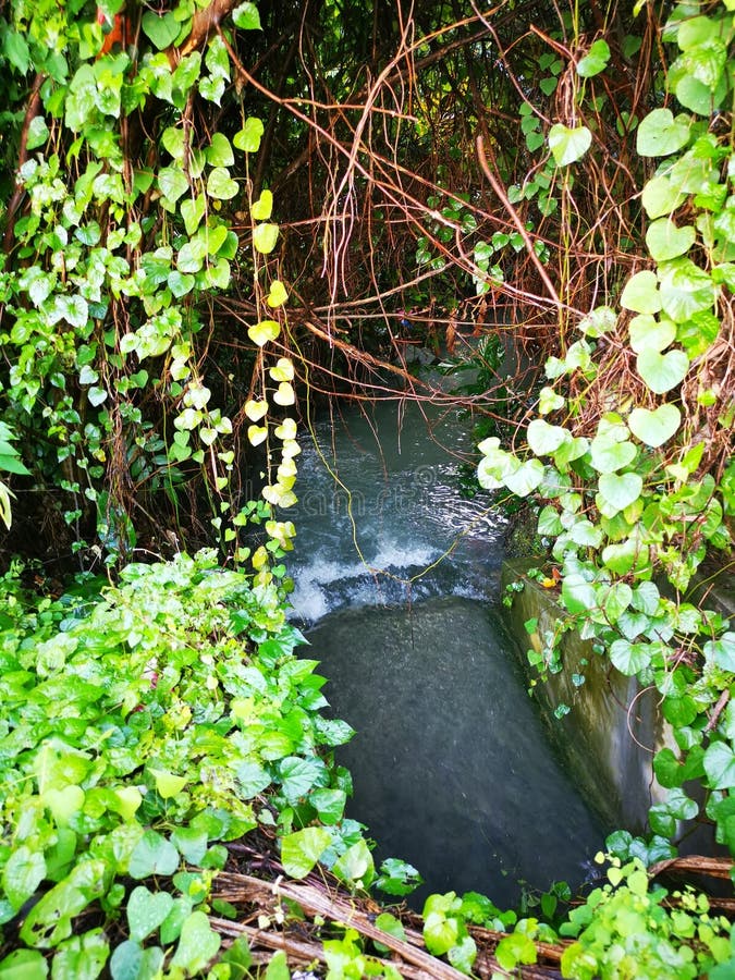 Stream of Channel Flowing Water for the Drainage System. Stock Photo ...