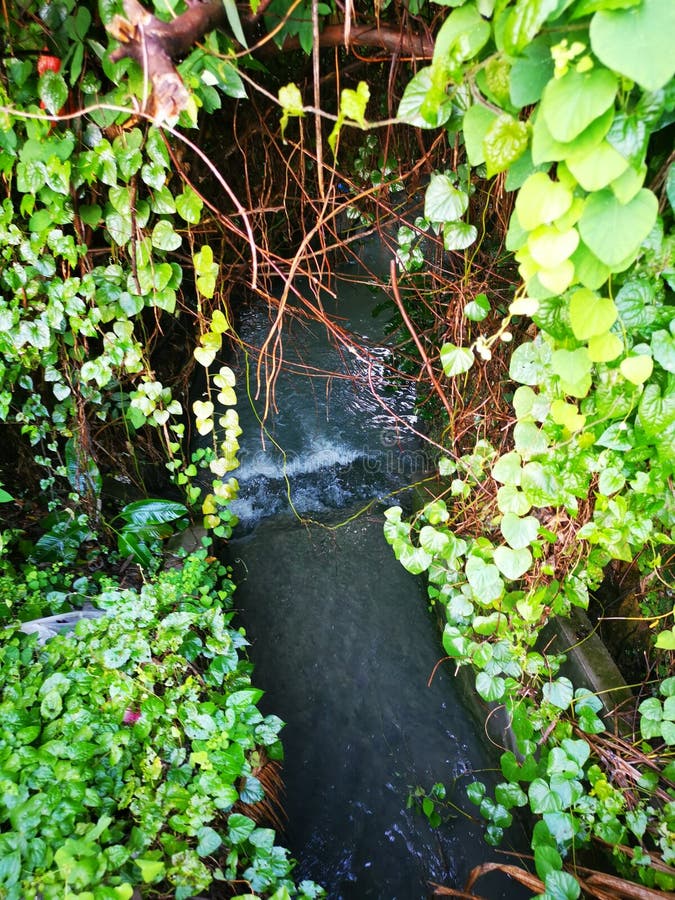 Stream of Channel Flowing Water for the Drainage System. Stock Image ...