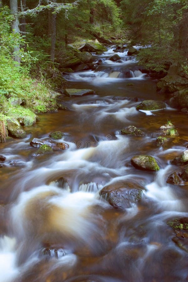 Stream with chutes stock image. Image of trees, summertime - 4772537