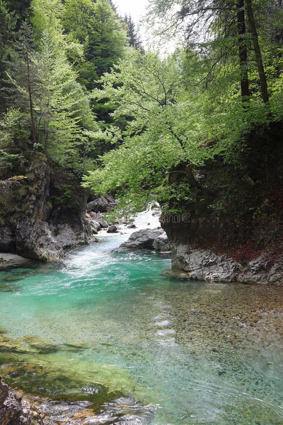 Stream with Clear Water Flowing into Mountain Valley in Spring Stock ...