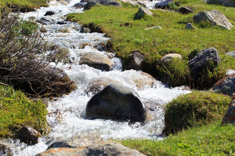 Stream with Clear Water. Mountain River among the Stones Stock Image ...