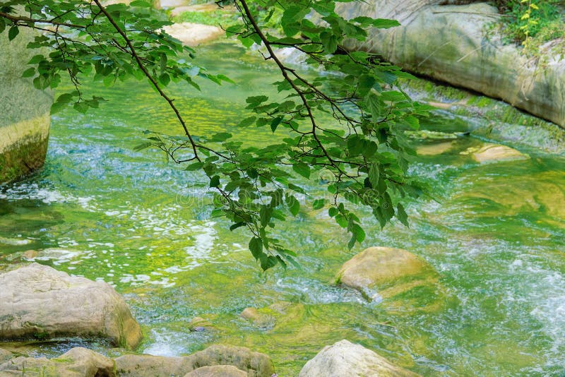 Stream stock photo. Image of flow, summer, landscape - 98179002