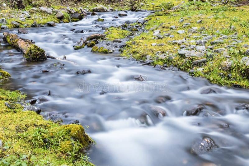 Stream closeup in forest stock image. Image of beautiful - 178128243