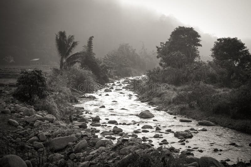 A Stream Coming through the Mist Stock Image - Image of meander ...