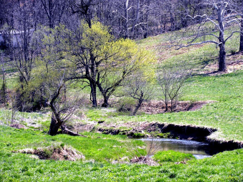 Stream in countryside stock photo. Image of river, outdoors - 14632644