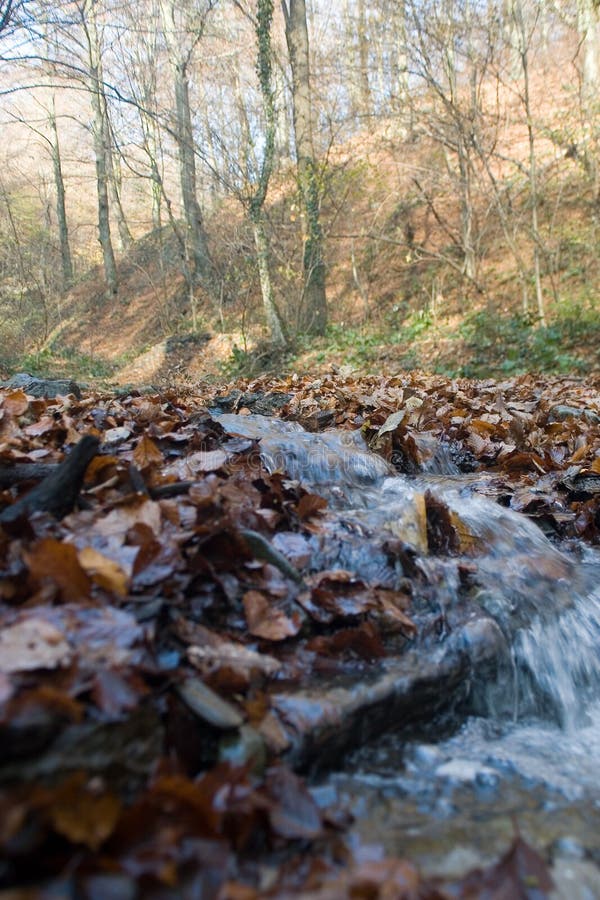 Stream in countryside stock image. Image of scenic, hillside - 1543277