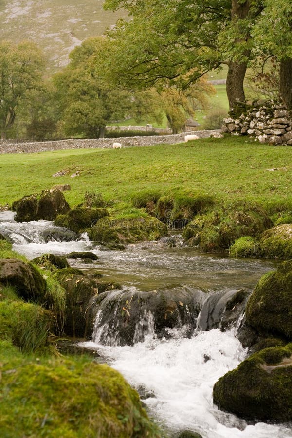 Stream in countryside stock photo. Image of river, brook - 1765616