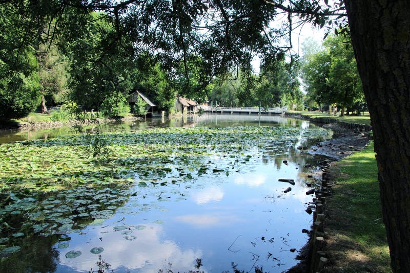 Stream in the countryside stock image. Image of creek - 59344357