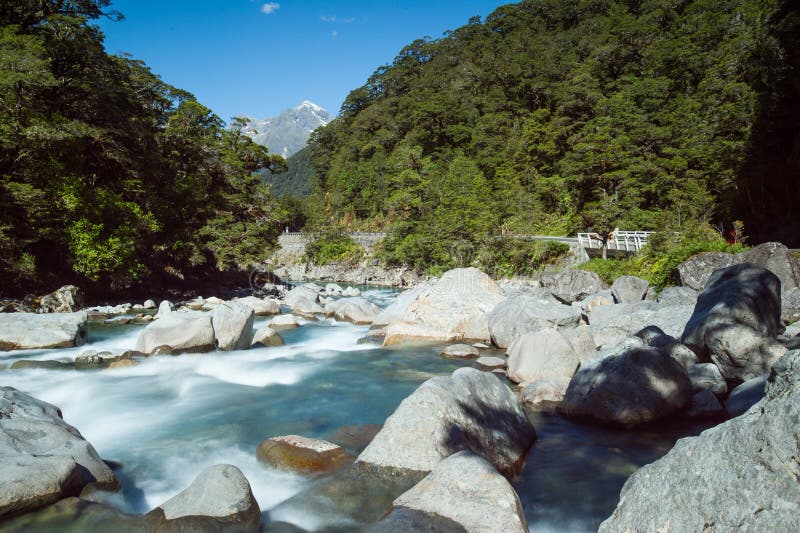 Stream Creek in a Mountain Forest, New Zealand Stock Photo - Image of ...