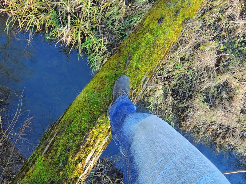 Stream Crossing stock image. Image of walk, wilderness - 64198577