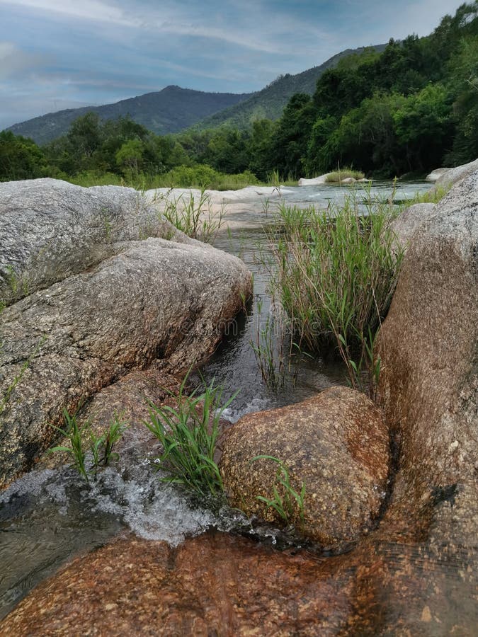 The Stream of the Crystal Clean Mountain Water Stock Image - Image of ...