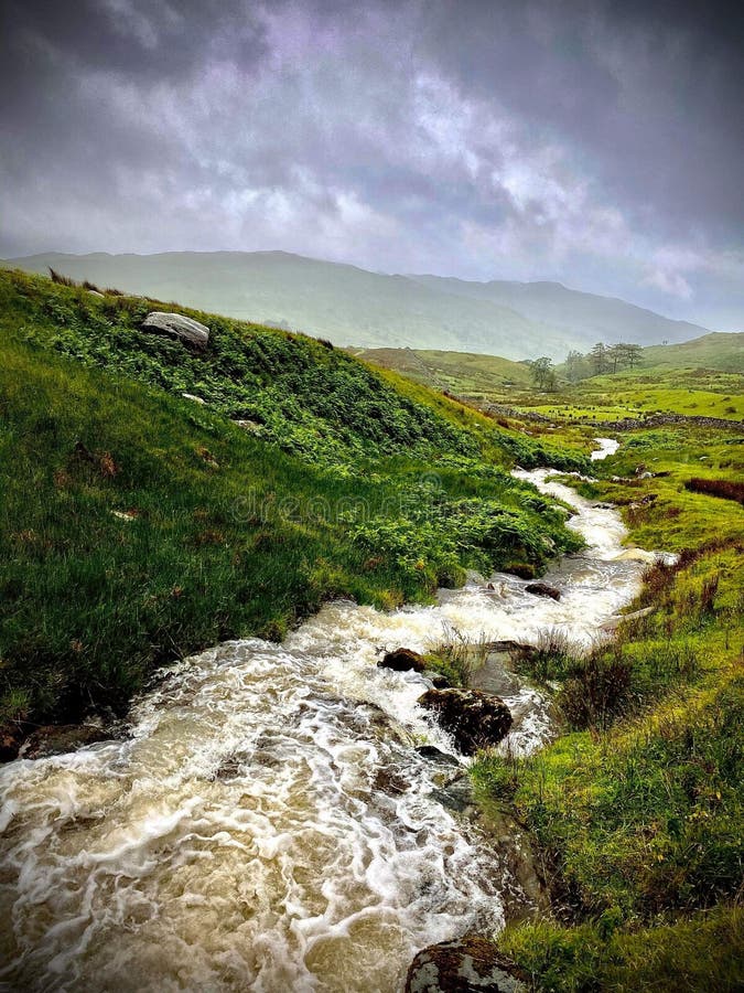Stream stock photo. Image of cumbria, district, scenic - 208457796